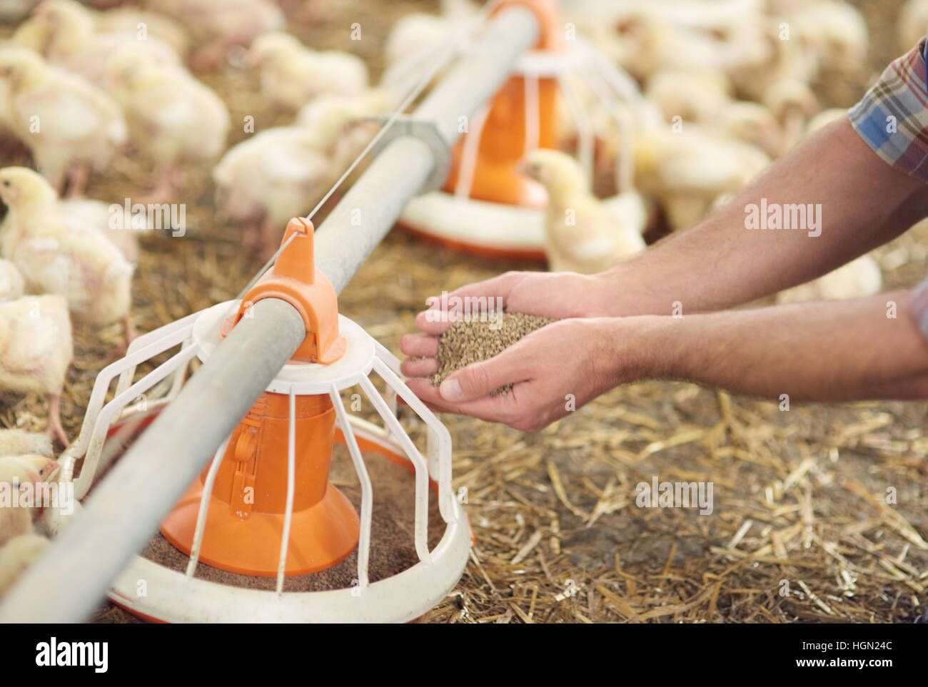 Manual feeder hi-res stock photography and images - Alamy