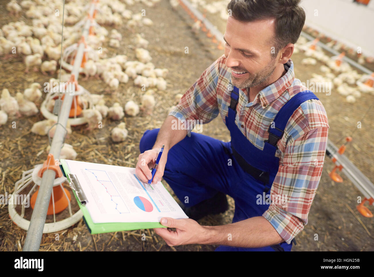 High angle view on busy farmer Stock Photo - Alamy