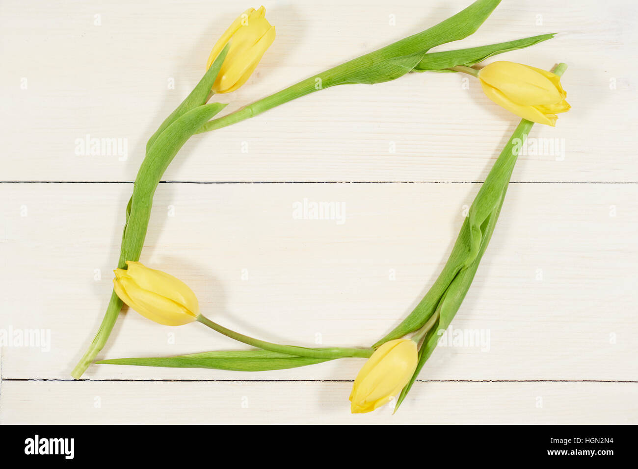 Four yellow tulips creating square shape Stock Photo - Alamy