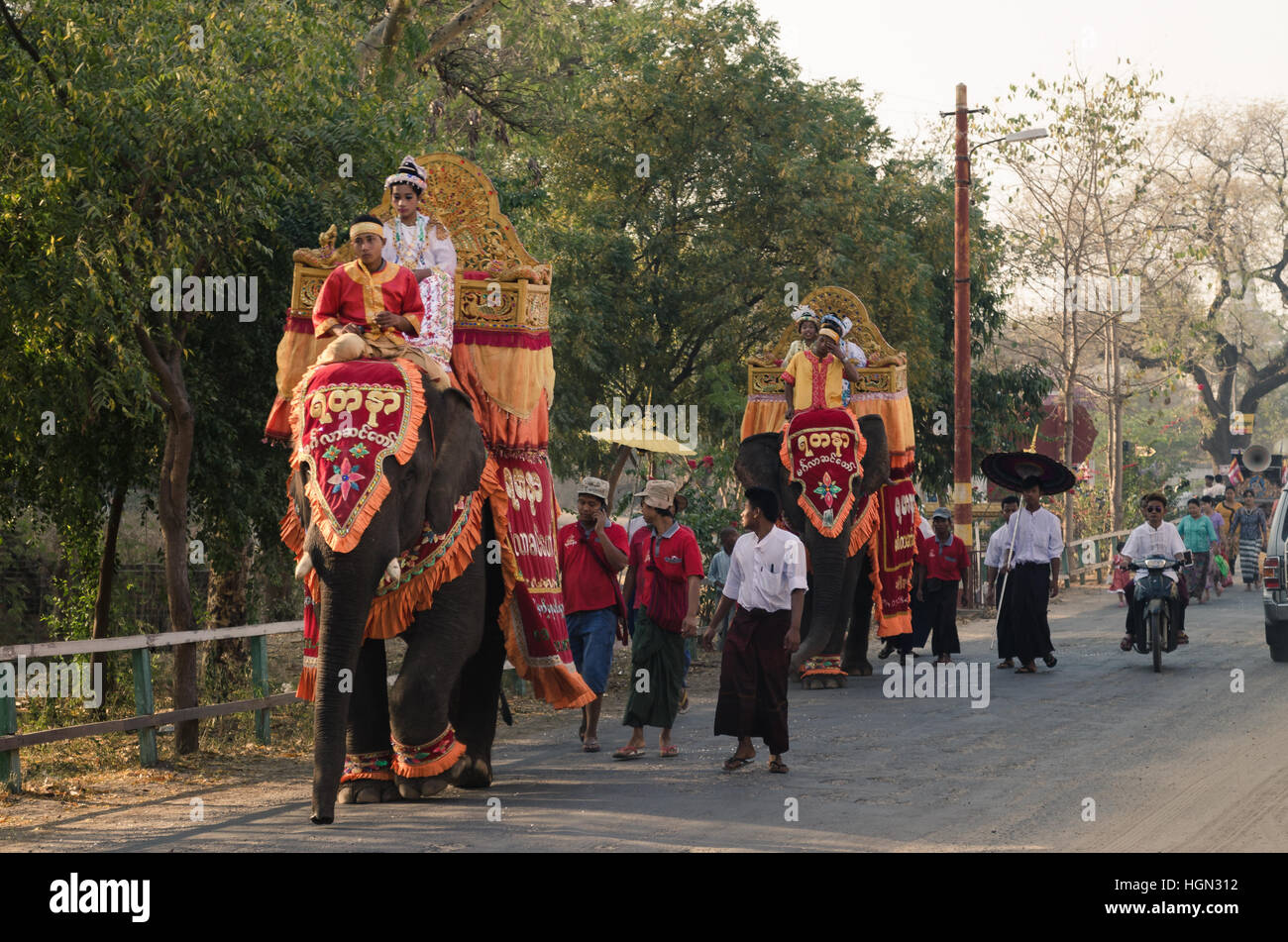 An elephant procession down a street in Nyaung Shwe, Myanmar (Burma ...
