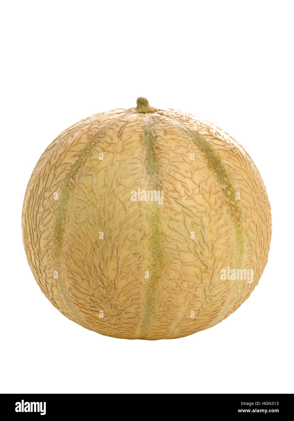 Melon charentais hi-res stock photography and images - Alamy