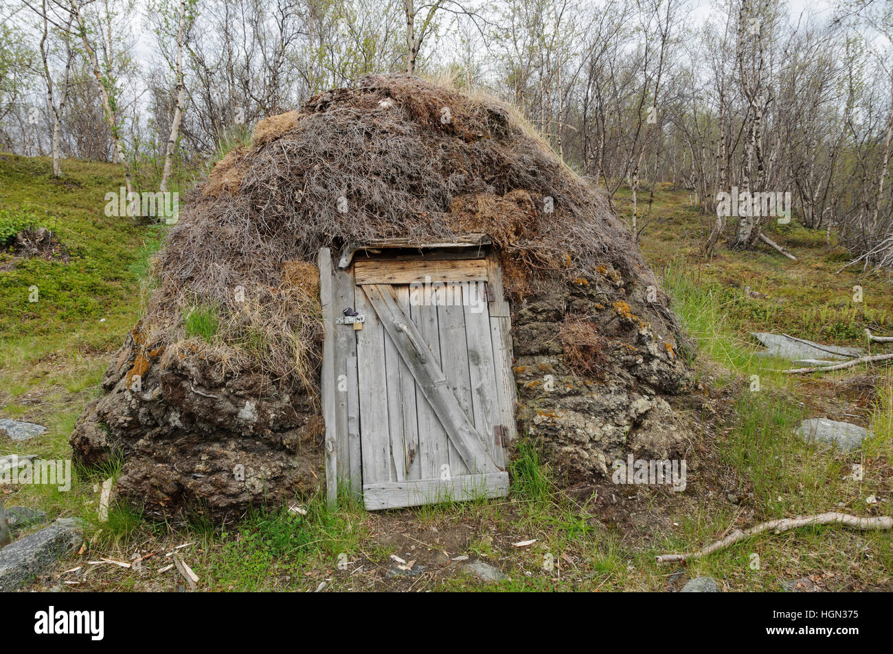 Sami culture: a turf goat hut (gaicagoahti) in a Sami Camp in Abisko ...