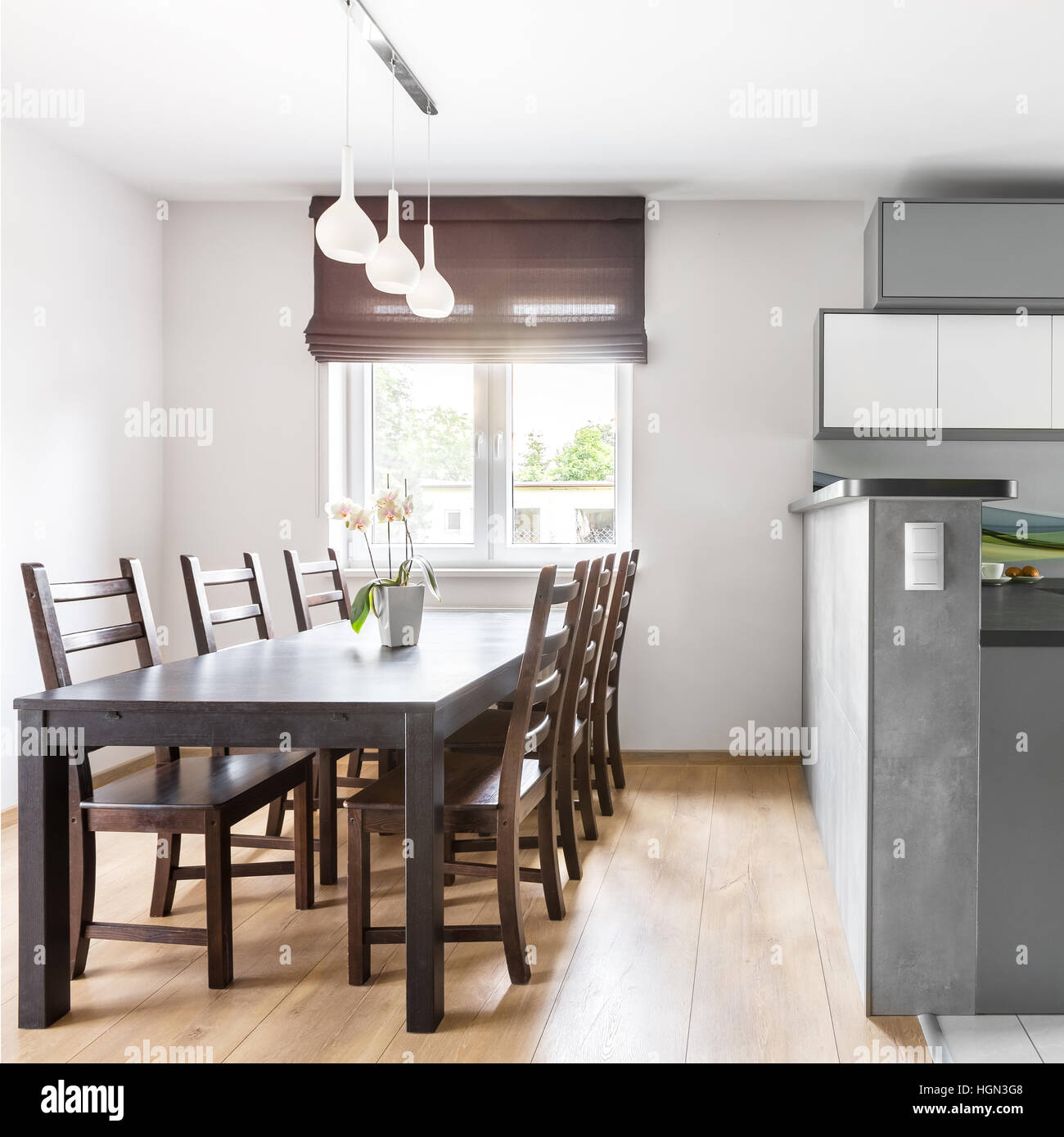 Modern villa interior with light spacious kitchen open to dining area ...