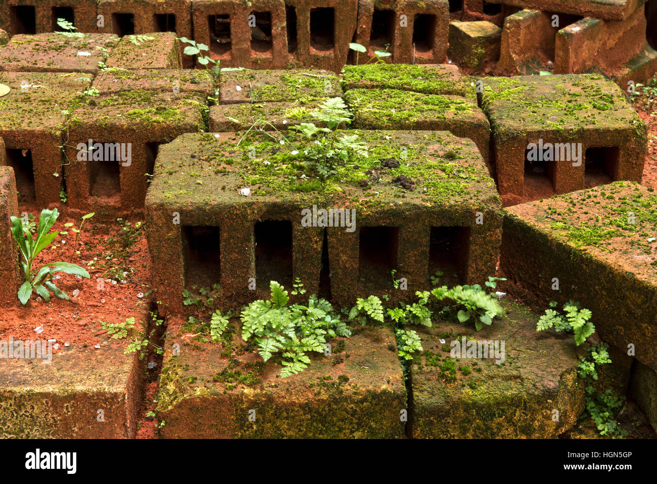 A close up image of some bricks that were left after closure of Clock ...