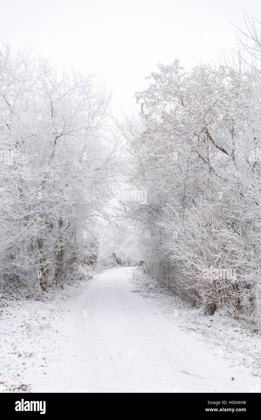 Winterworld hi-res stock photography and images - Alamy