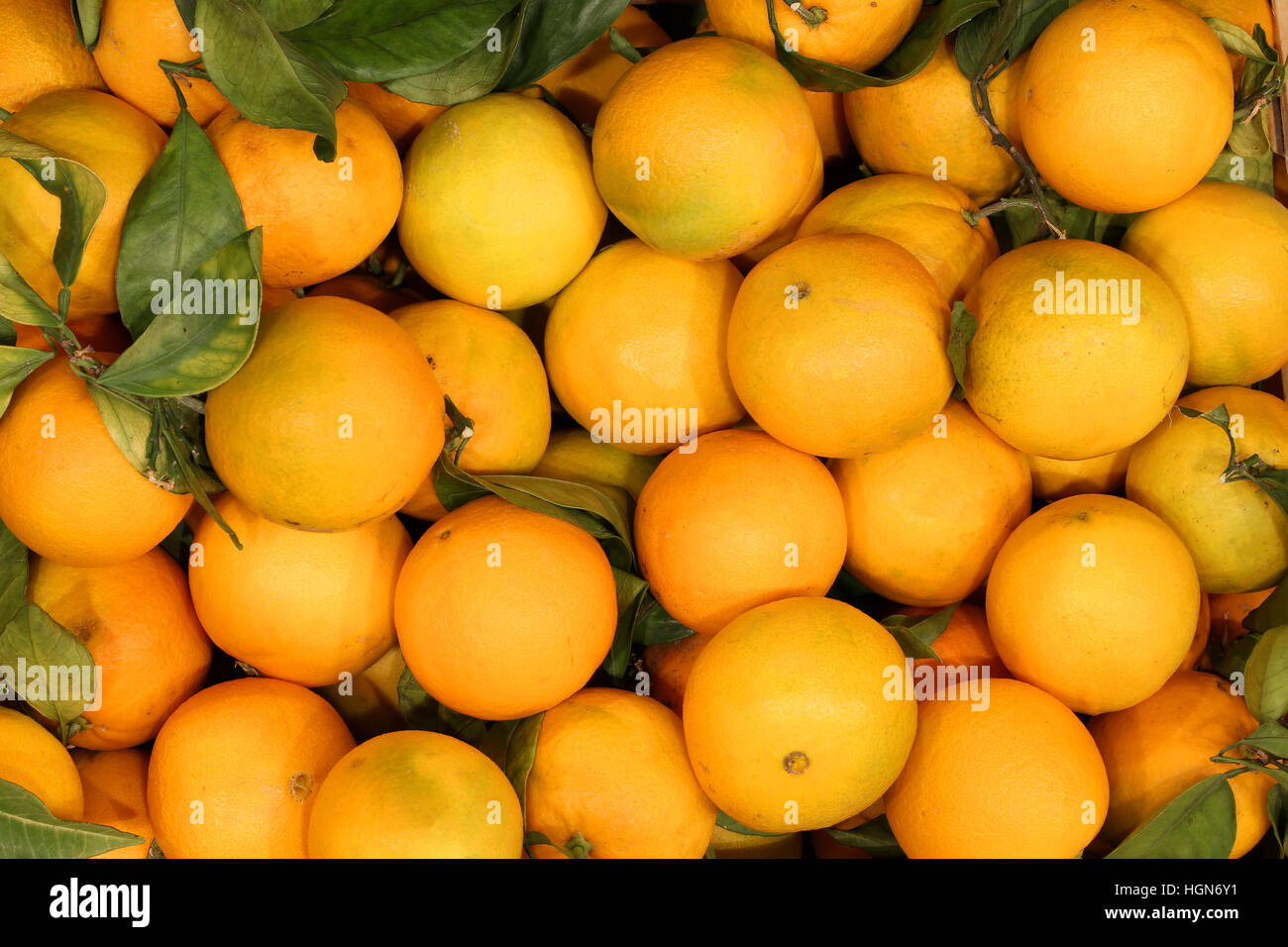 background of many oranges without chemical treatments with leaves ...