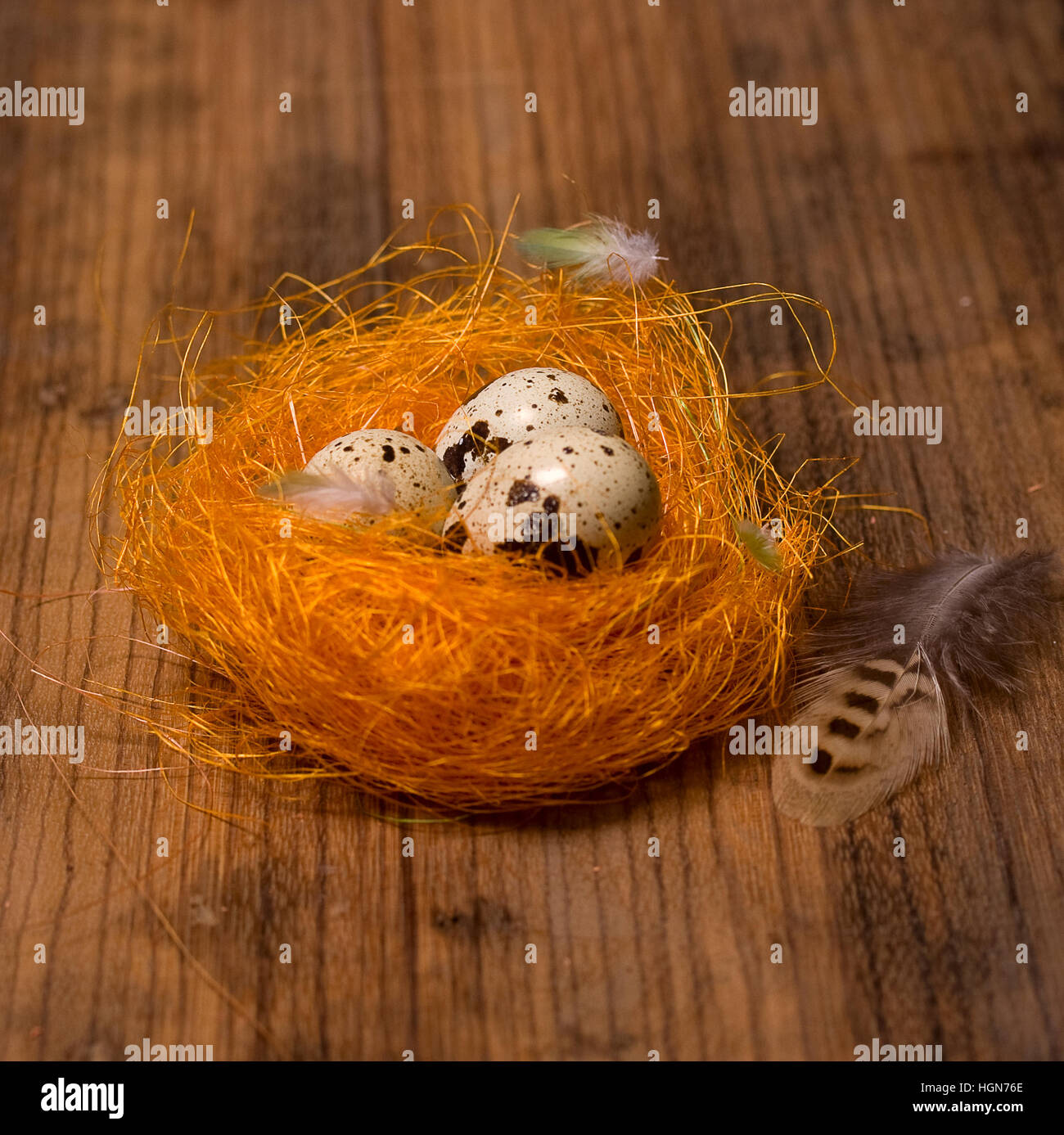eggs in nest Stock Photo - Alamy