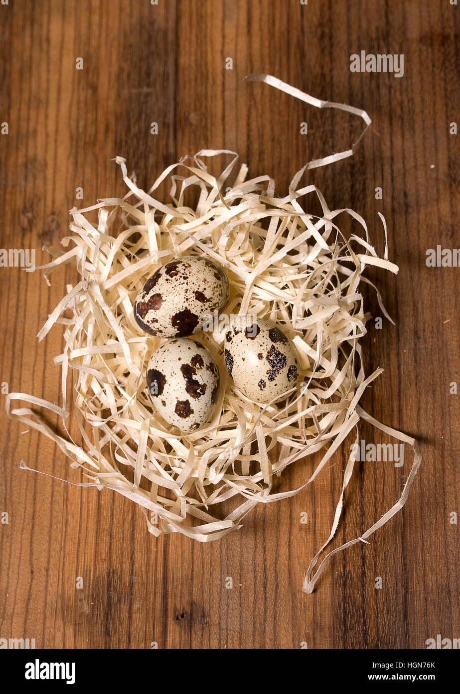 eggs in nest Stock Photo - Alamy