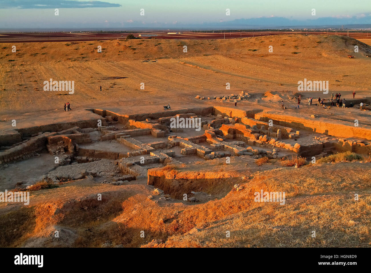 Siria palazzo occidentale del sito archeologico di ebla syria hi-res ...