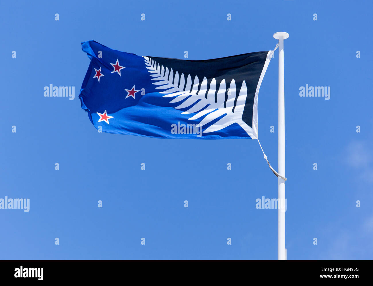 Silver fern flag hi-res stock photography and images - Alamy