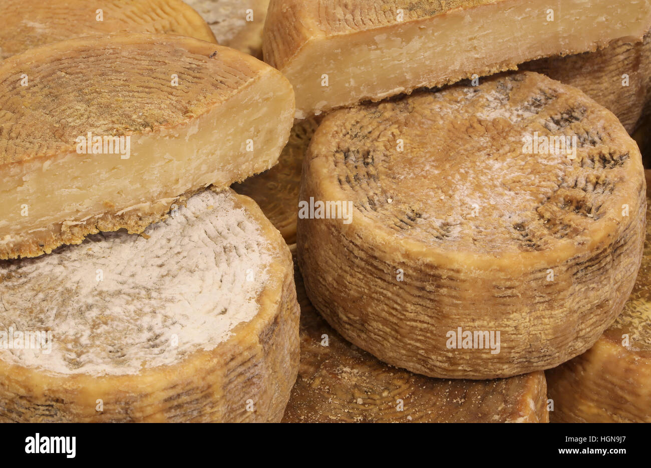 forms of aged cheese for sale in the mountain dairy farm Stock Photo ...