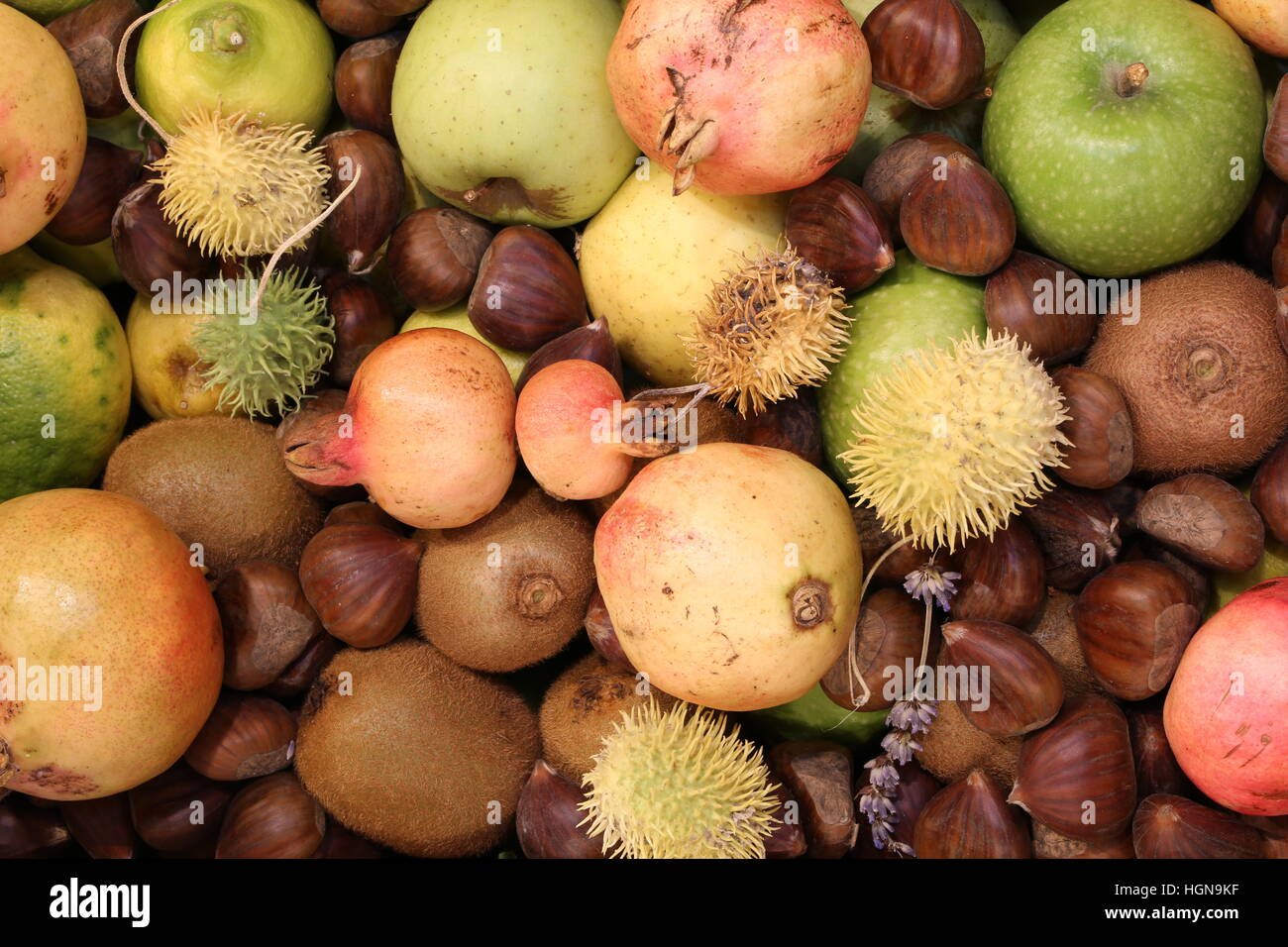 chestnuts pomegranates big apples and many autumn fruits Stock Photo ...