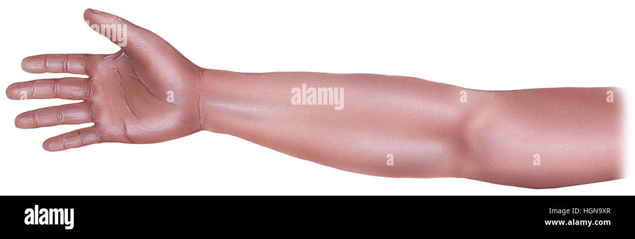 Arm and Hand - Outstretched Stock Photo - Alamy