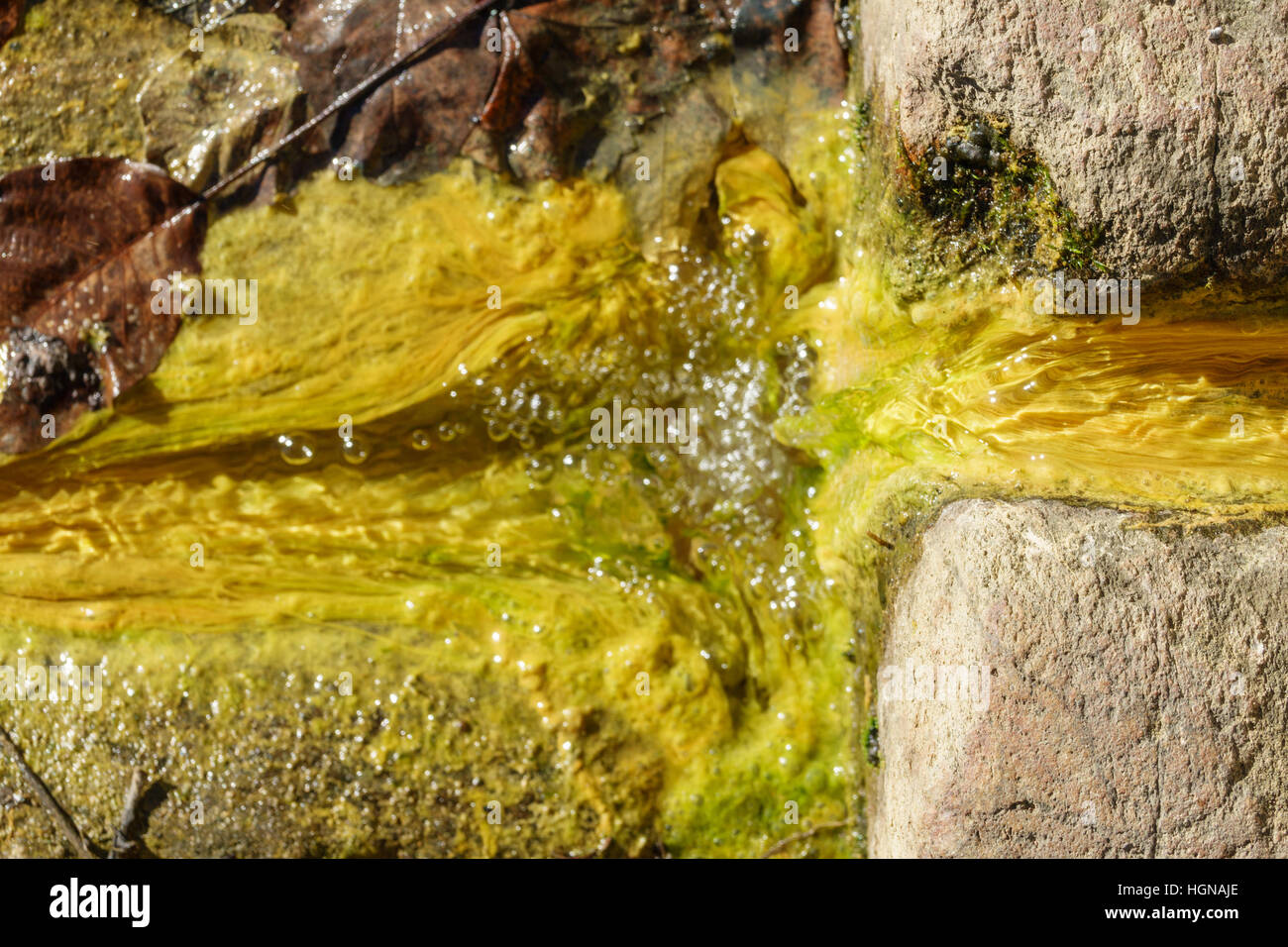 Colored fountain closeup with slime, top view Stock Photo - Alamy