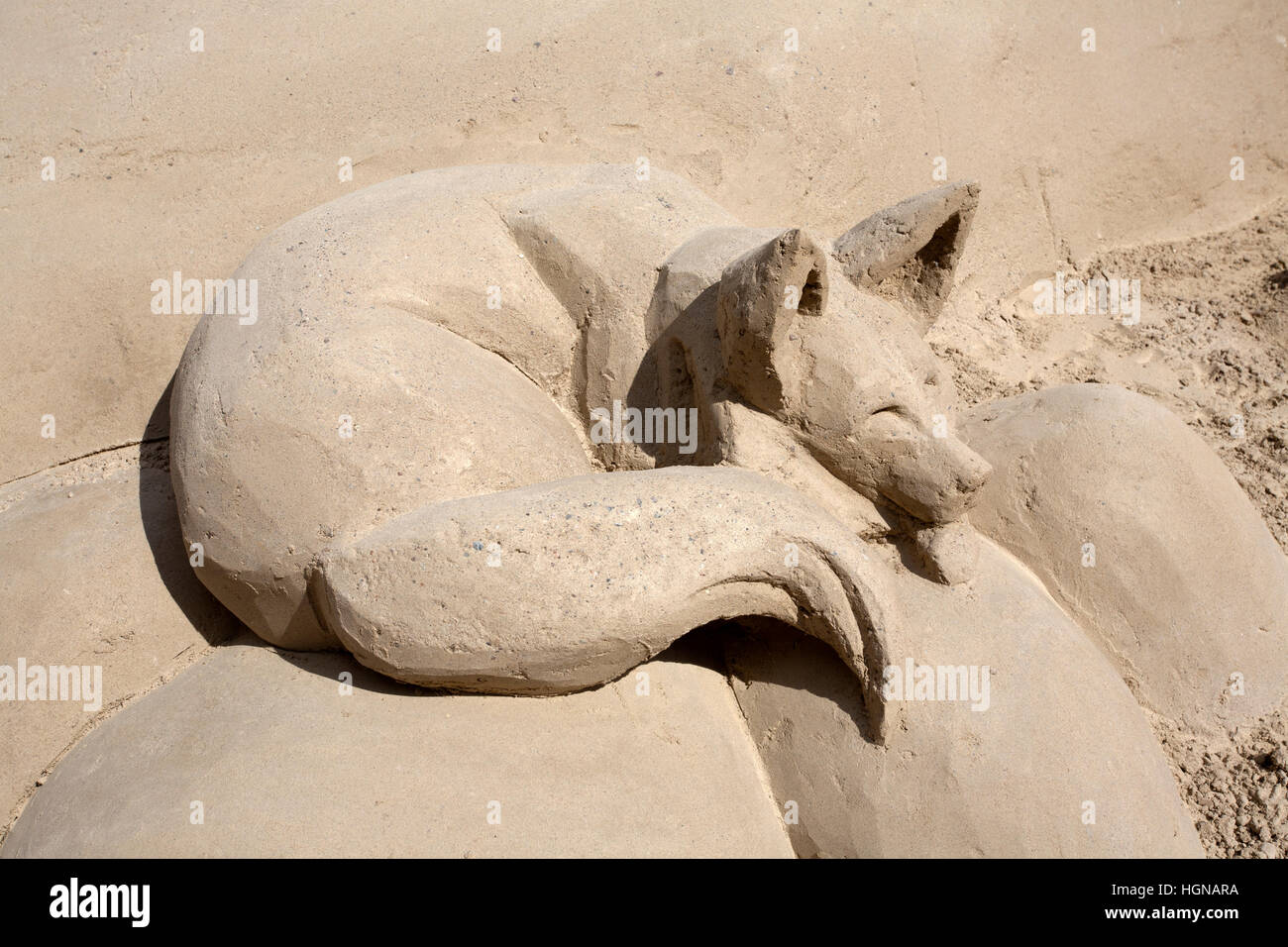 Sand Castle Animals