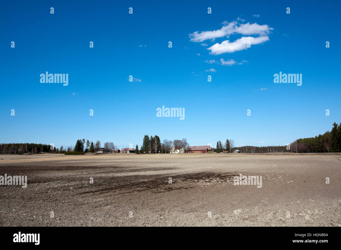 early spring fields, Finland Stock Photo - Alamy