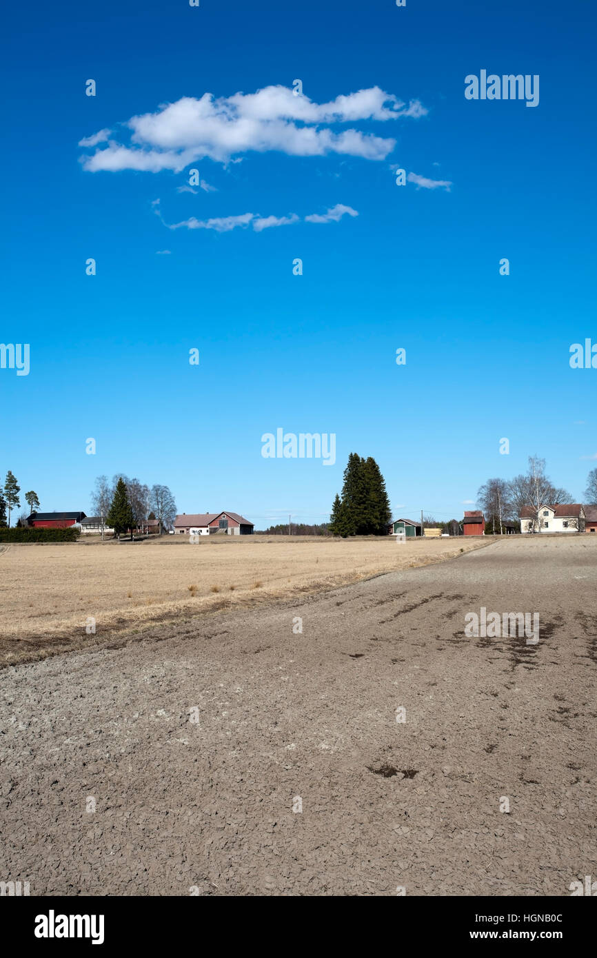 early spring fields, Finland Stock Photo - Alamy