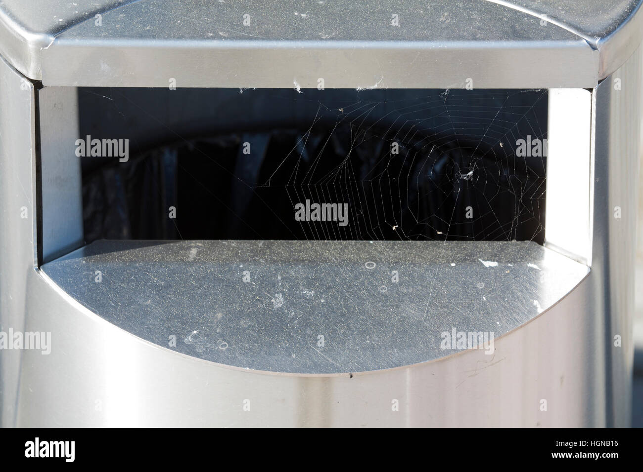 spider web on trash bin Stock Photo - Alamy