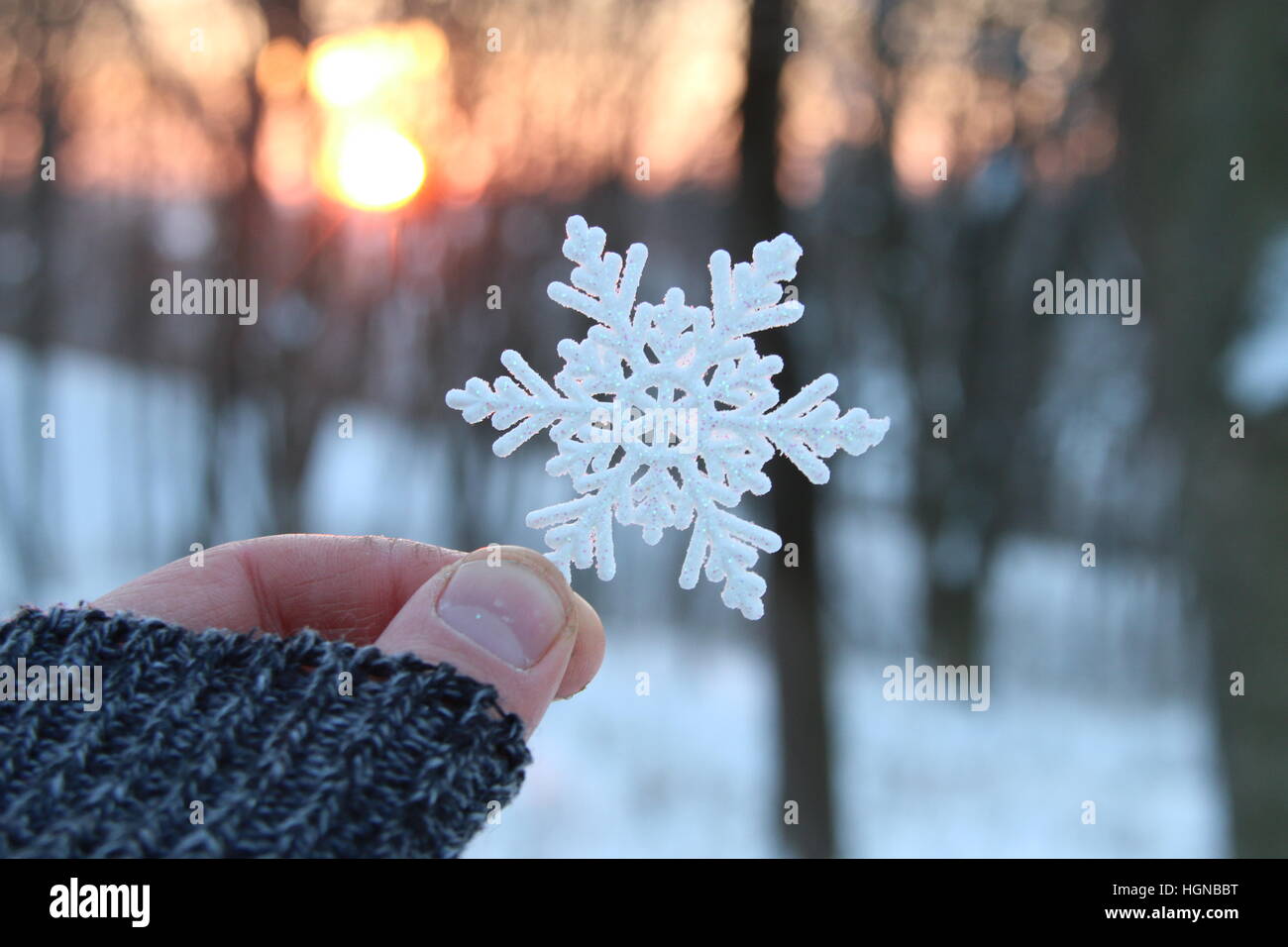 winter concept, hand holding a snowflake Stock Photo - Alamy
