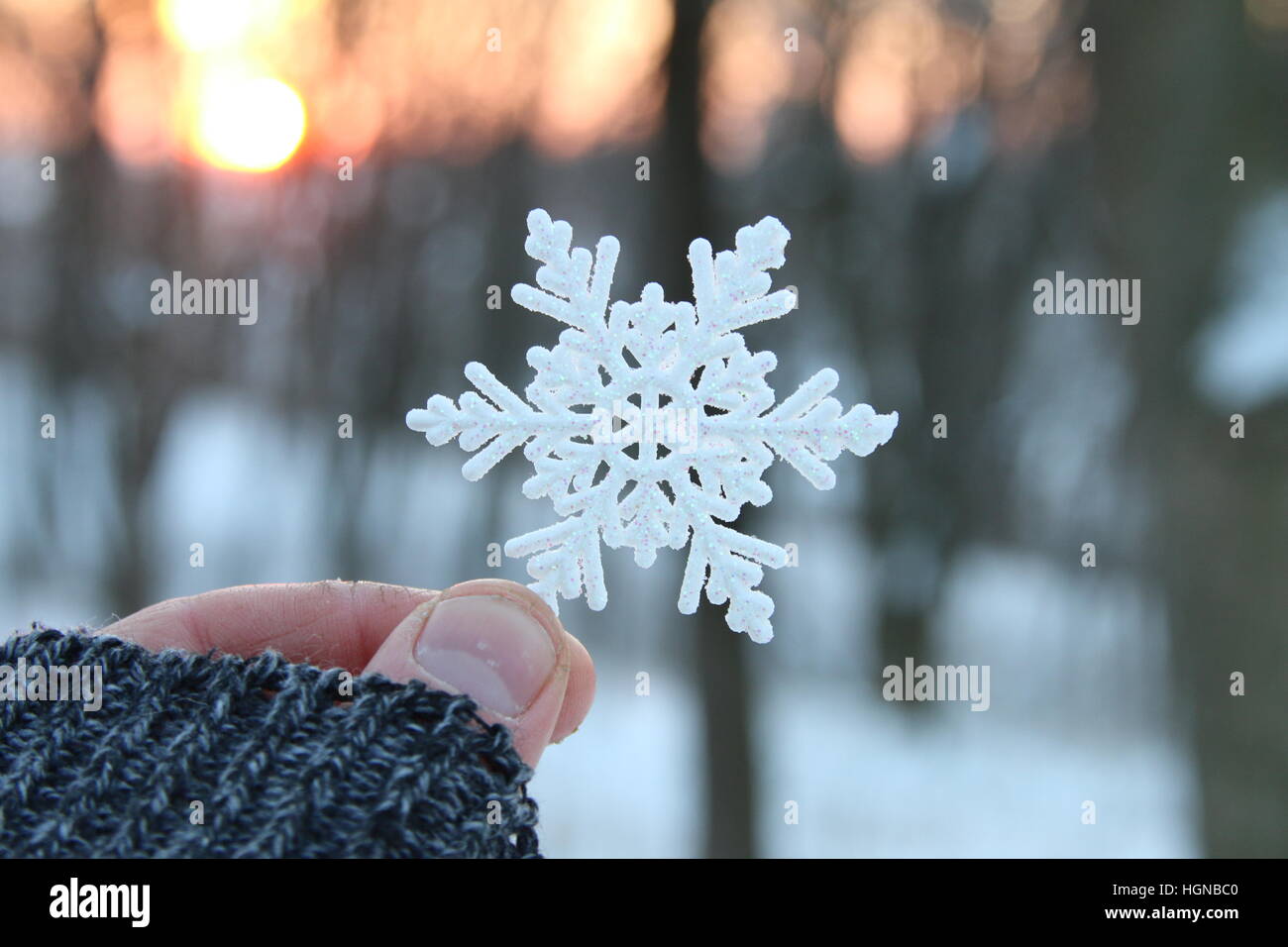 cold or frost idea, hand holding a snowflake Stock Photo - Alamy