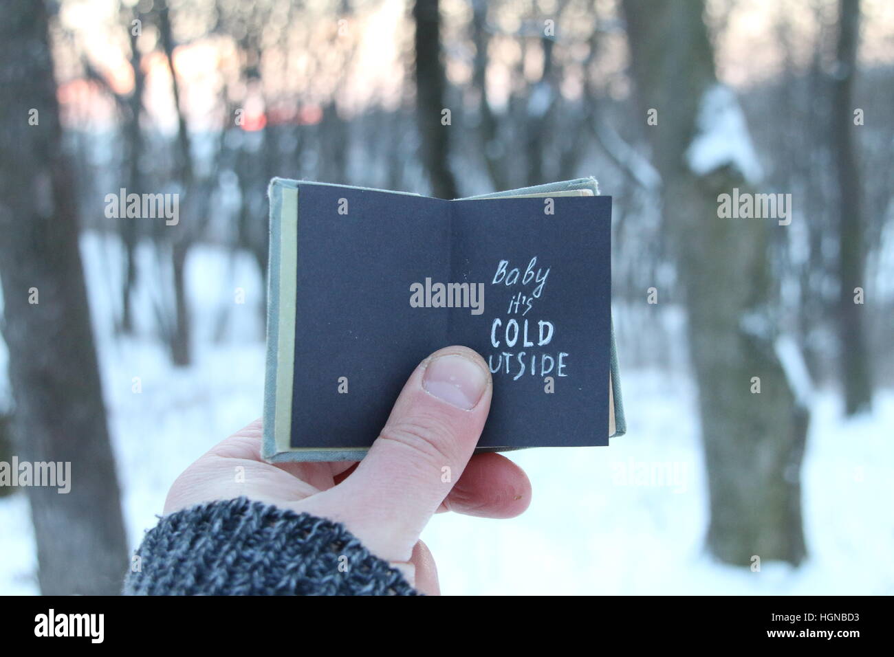 Baby its cold outside. Winter holiday lettering on the book Stock Photo ...