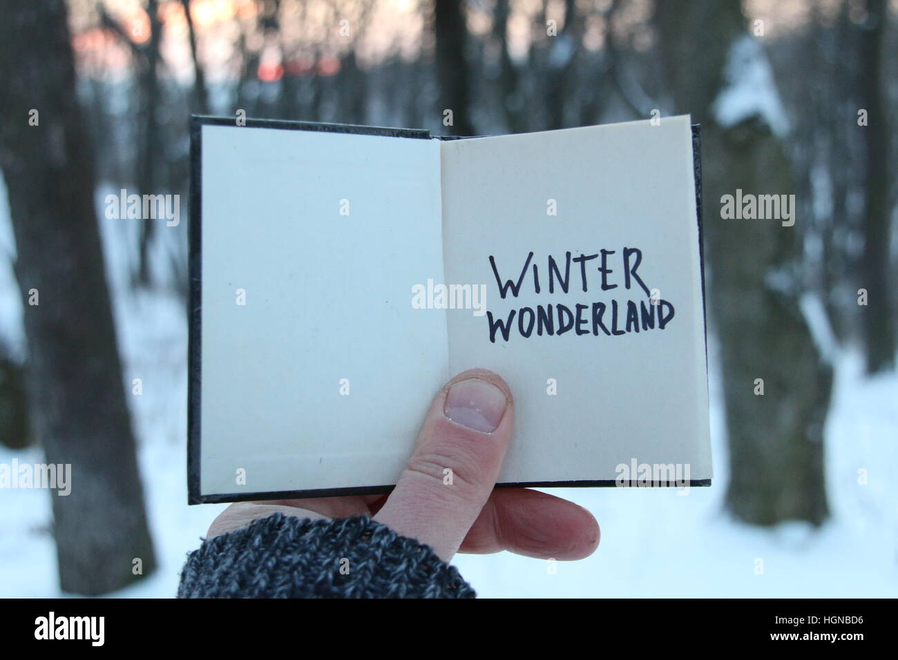 Winter wonderland idea. Book and text Stock Photo - Alamy
