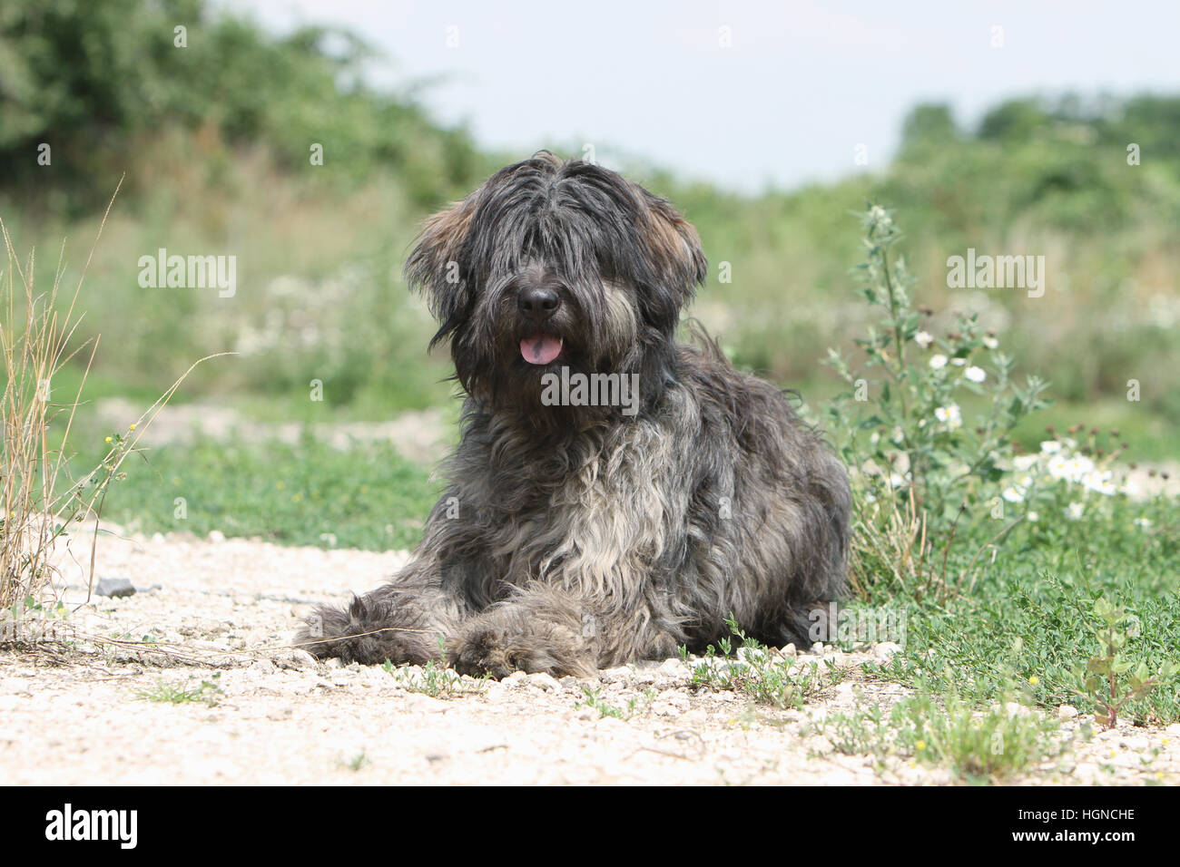 Catalaanse hi-res stock photography and images - Alamy