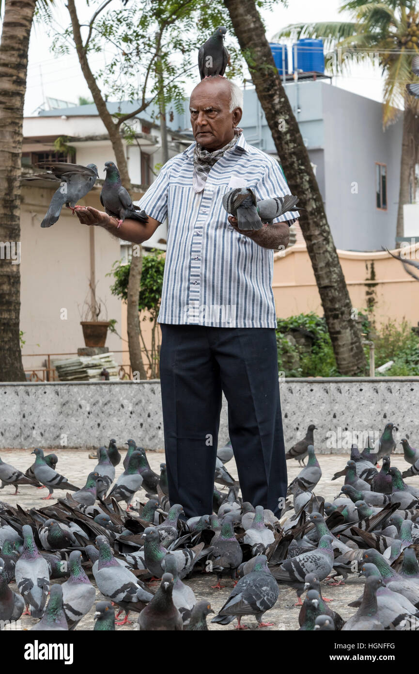 Pigeon feeding ritual at Shri Dharmanath Jain Temple, Mattancherry ...