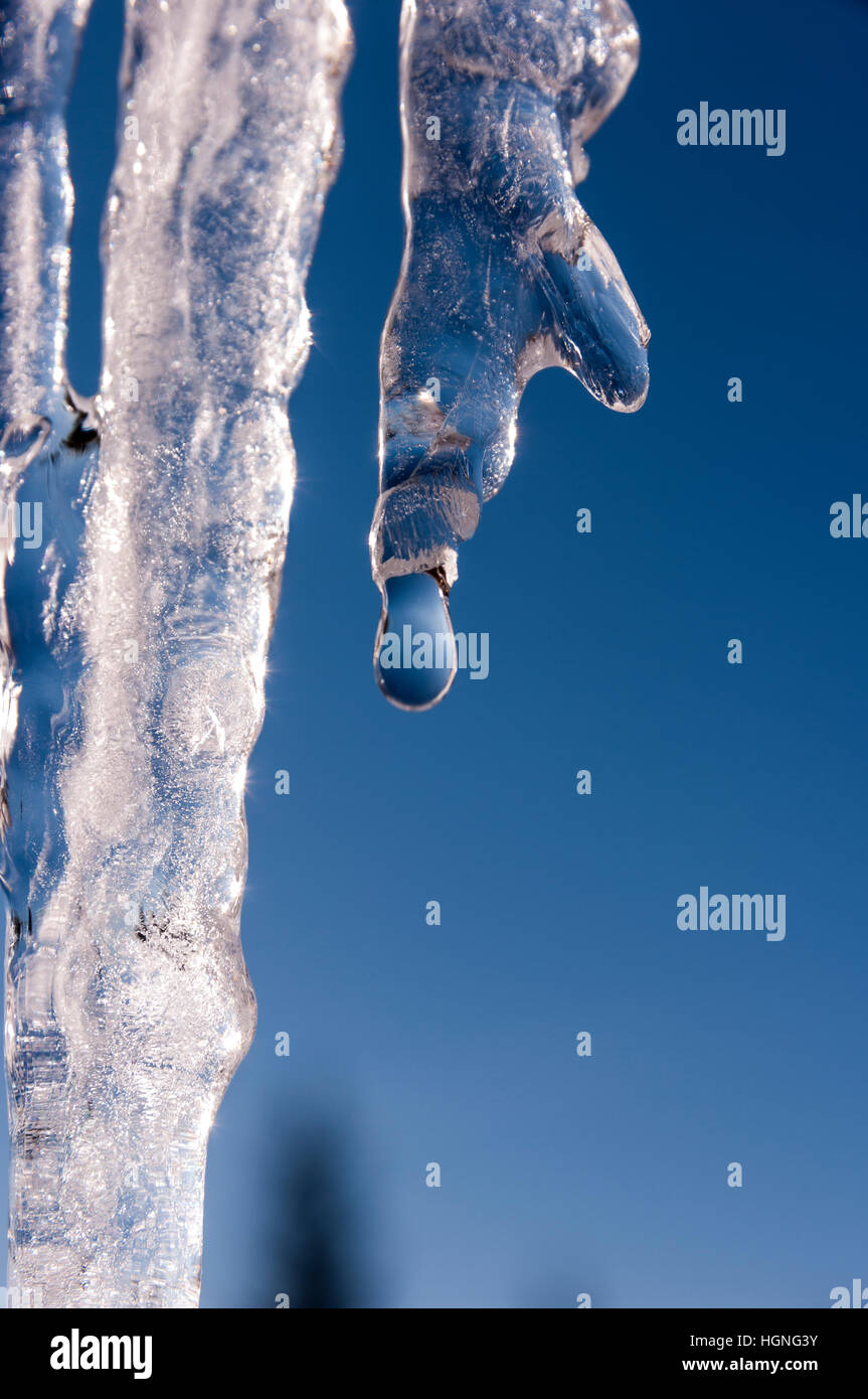 Beautiful transparent icicles ice hi-res stock photography and images ...