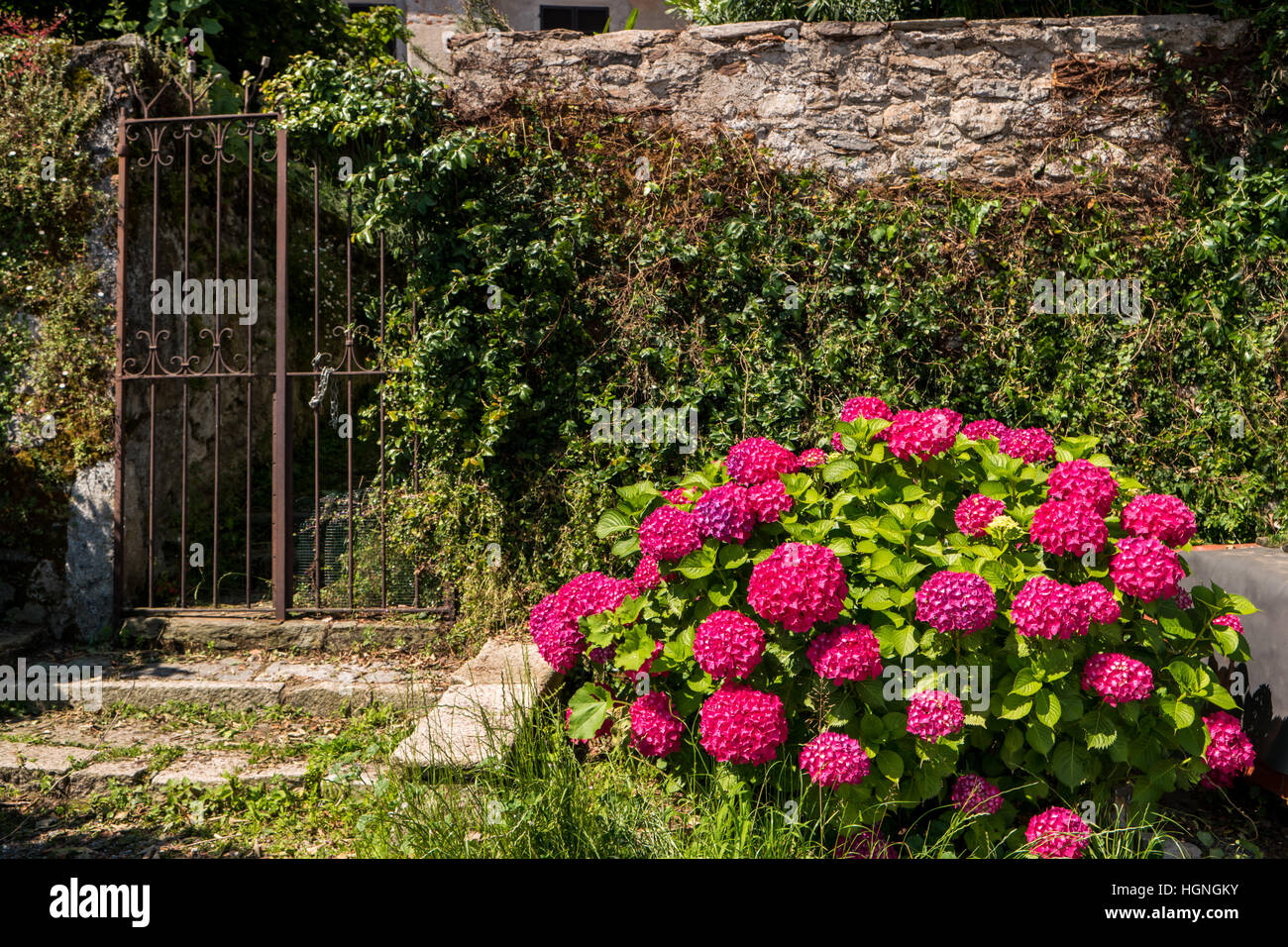 Stone gate bush stair hi-res stock photography and images - Alamy