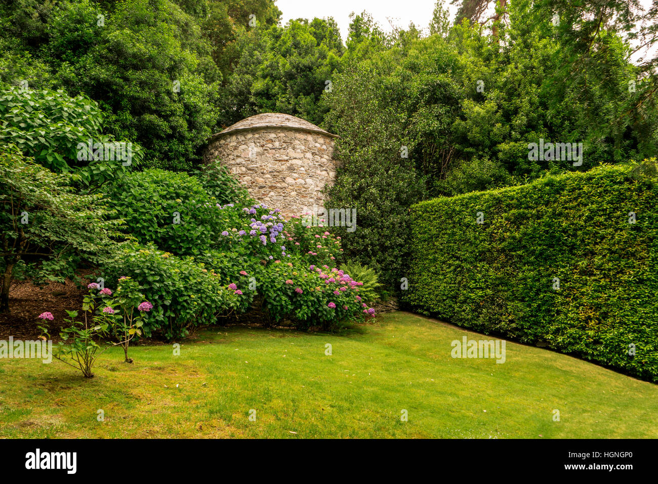Stone wall bush forest hi-res stock photography and images - Alamy