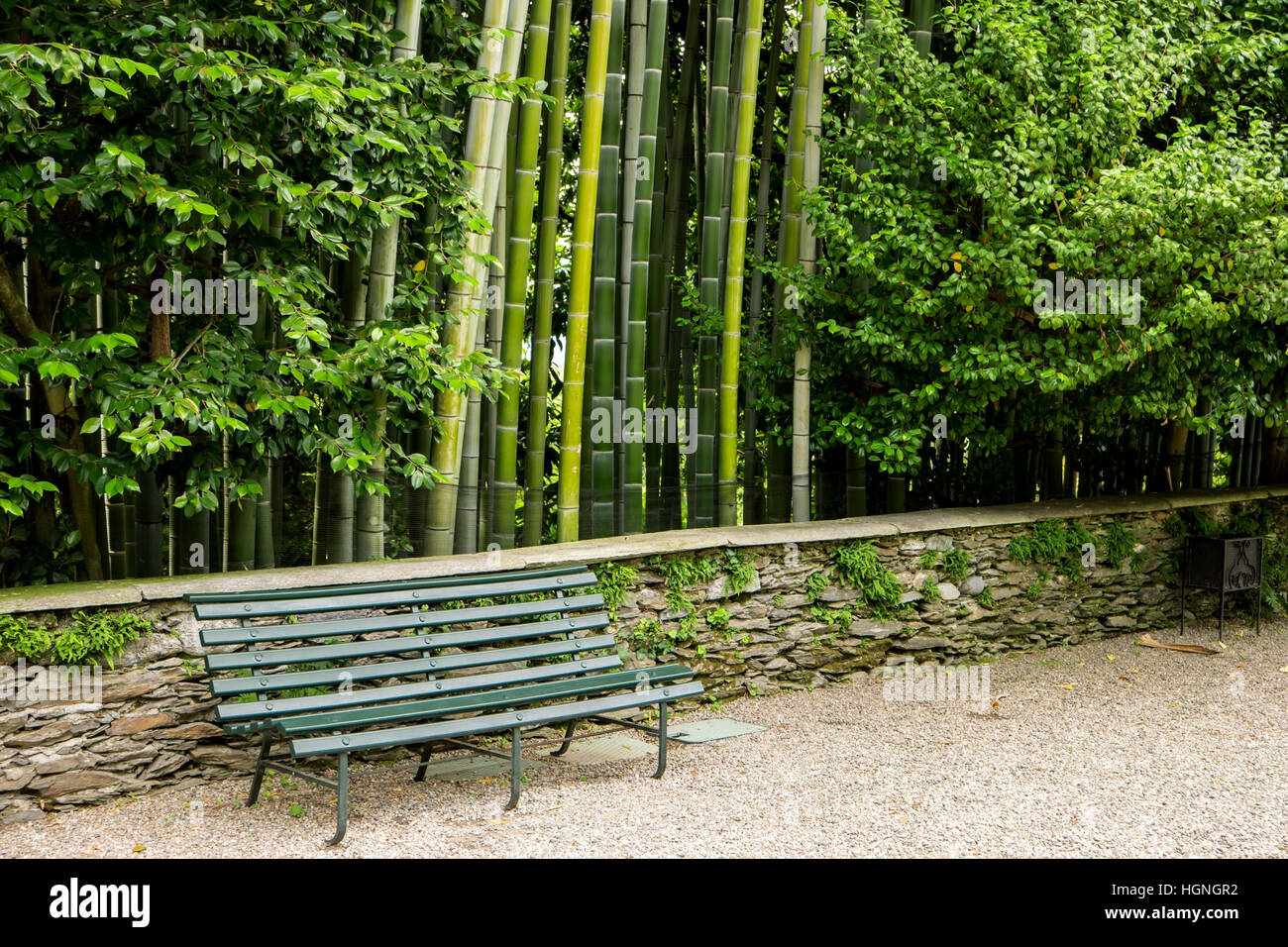 Bench and nature Stock Photo - Alamy