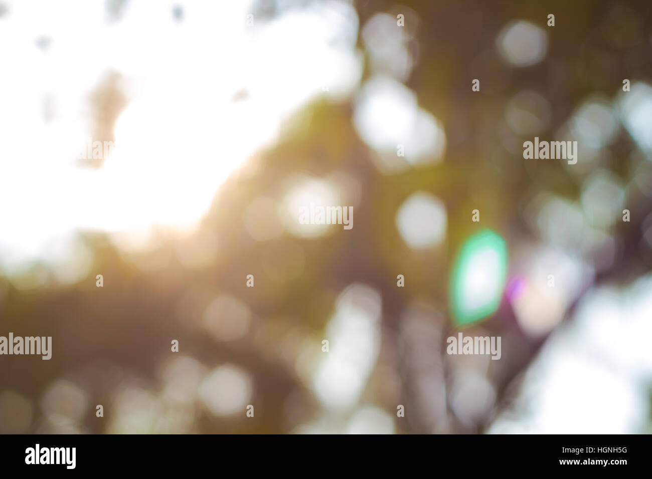 Bokeh Background Out of Focus Background, Nature Blur Background Stock ...