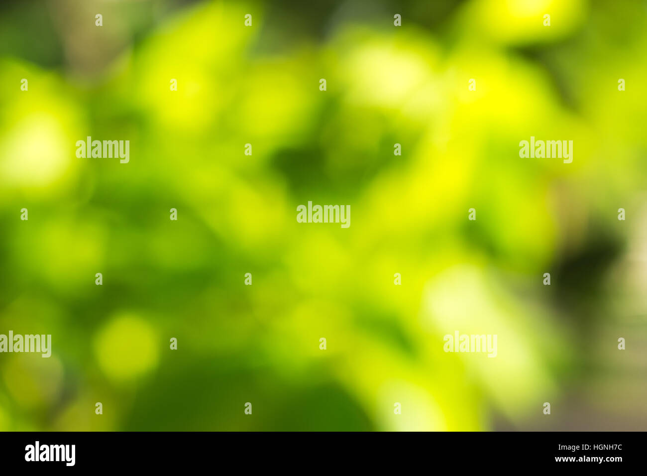 Bokeh Background Out of Focus Background, Nature Blur Background Stock ...