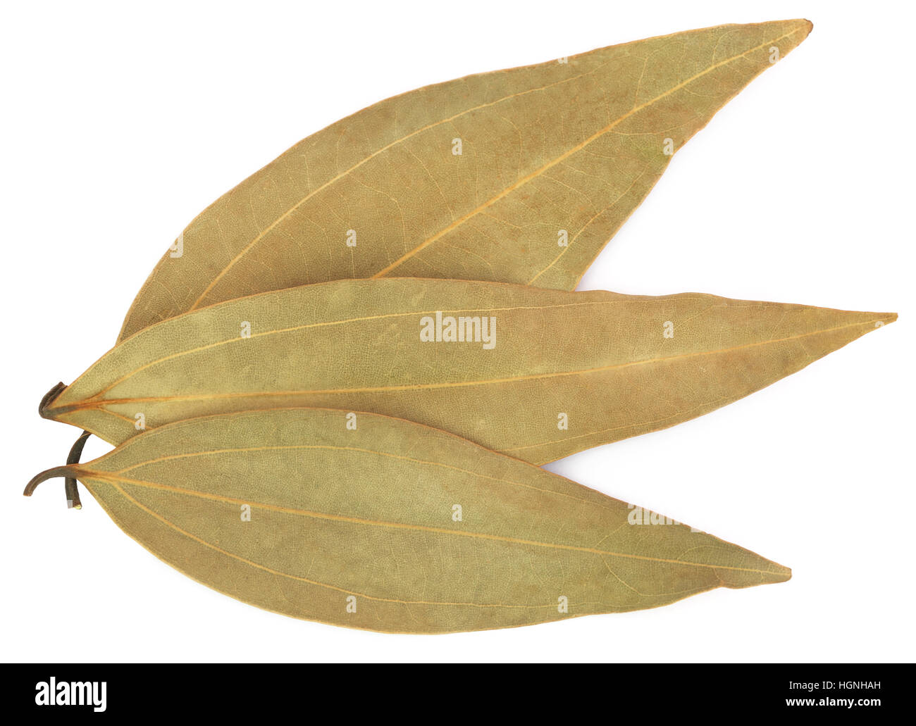 Bay leaves over white background Stock Photo - Alamy