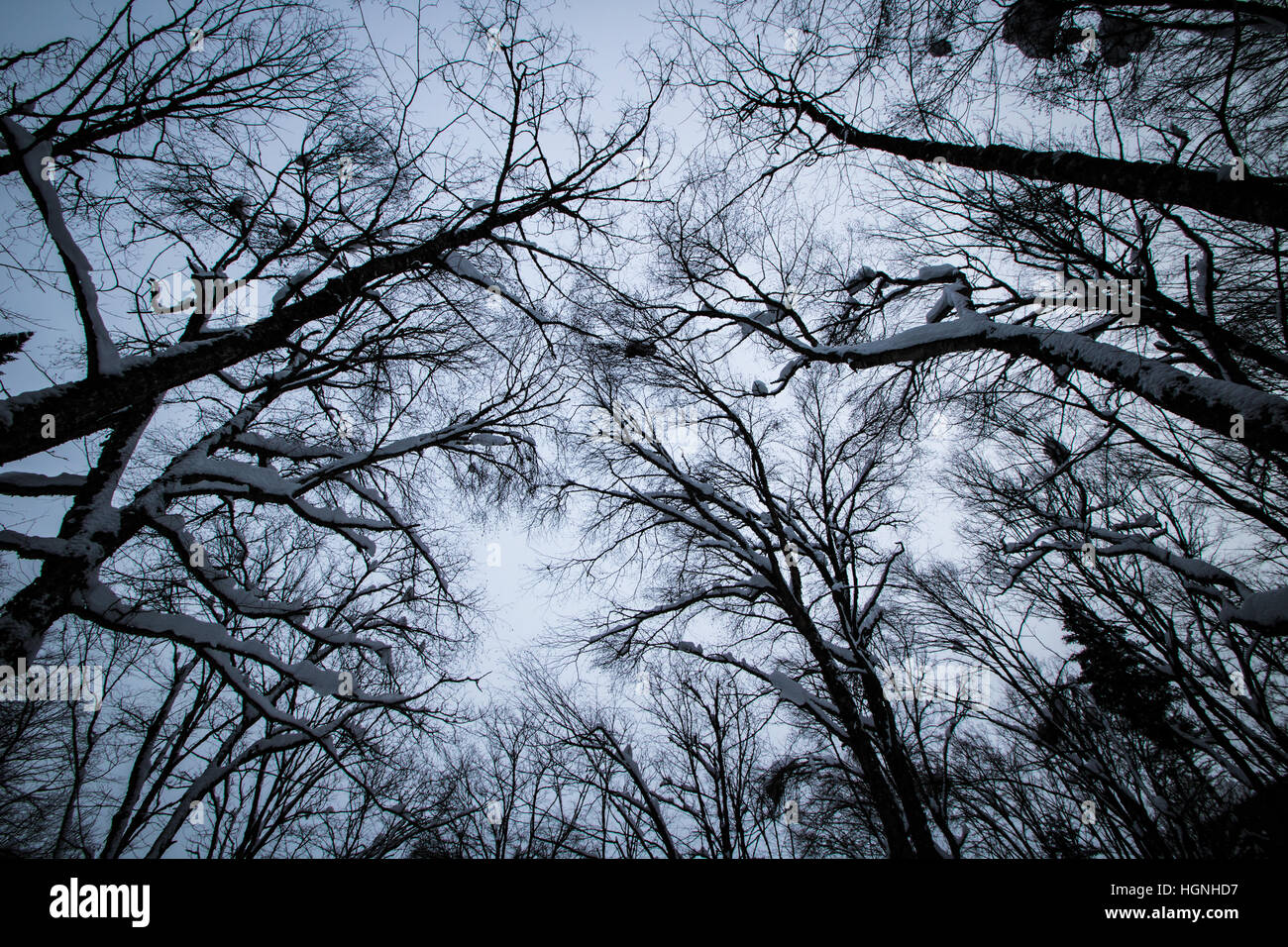 Looking down from sky below hi-res stock photography and images - Alamy