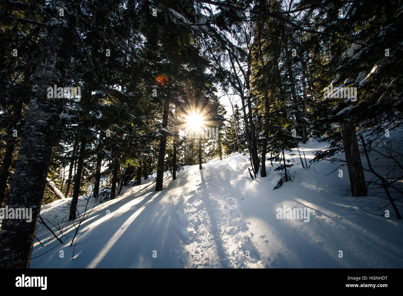 Walking towards the sun Stock Photo - Alamy