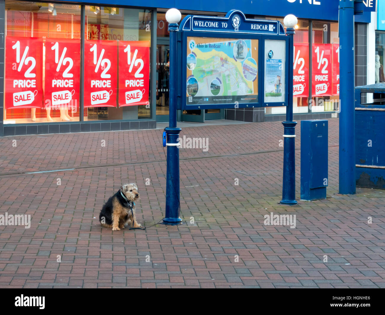 Dog tied up hi-res stock photography and images - Alamy