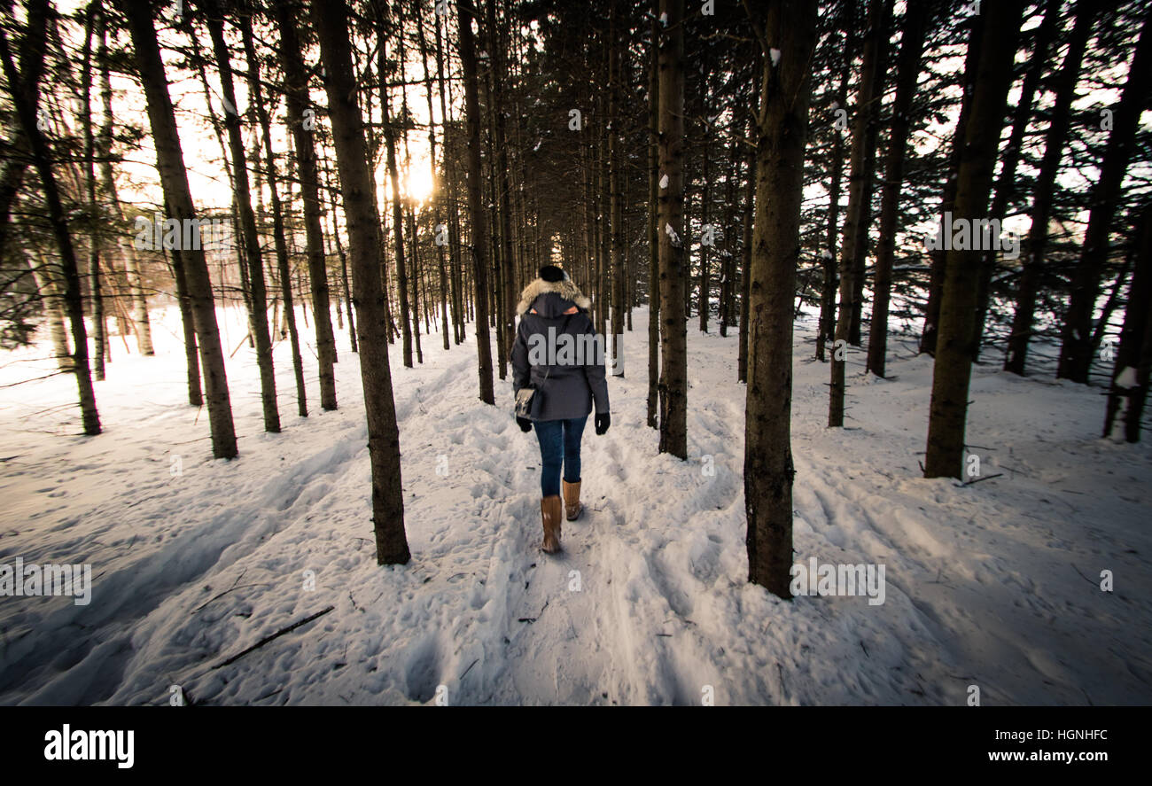 Following path in woods hi-res stock photography and images - Alamy