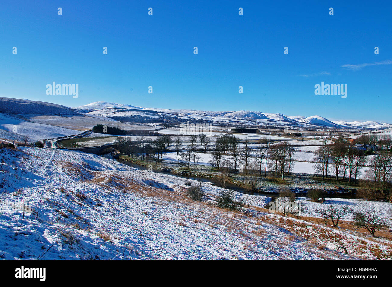 Cheviots hi-res stock photography and images - Alamy