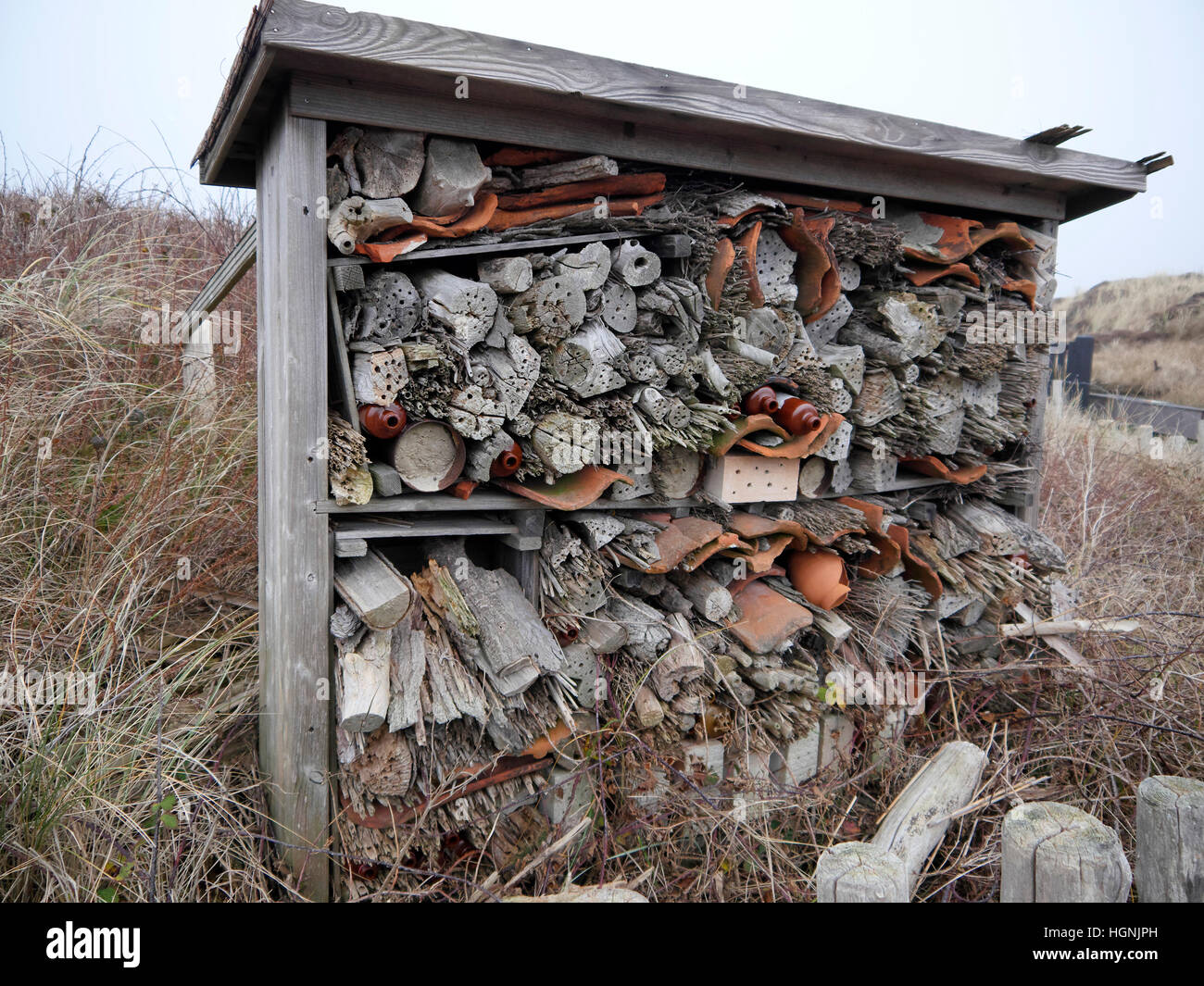 Insect nest house hi-res stock photography and images - Alamy