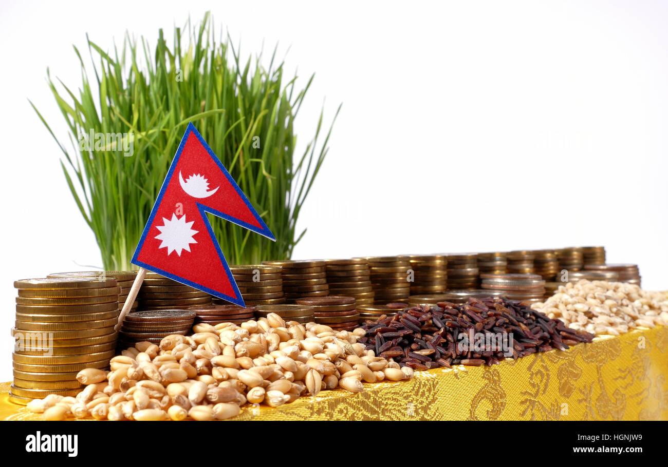 Nepal flag waving with stack of money coins and piles of wheat and rice ...
