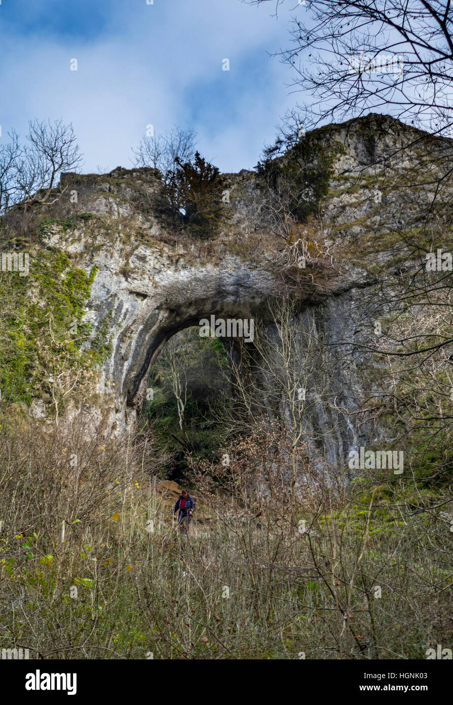 Reynards Cave Natural rock arch Stock Photo - Alamy