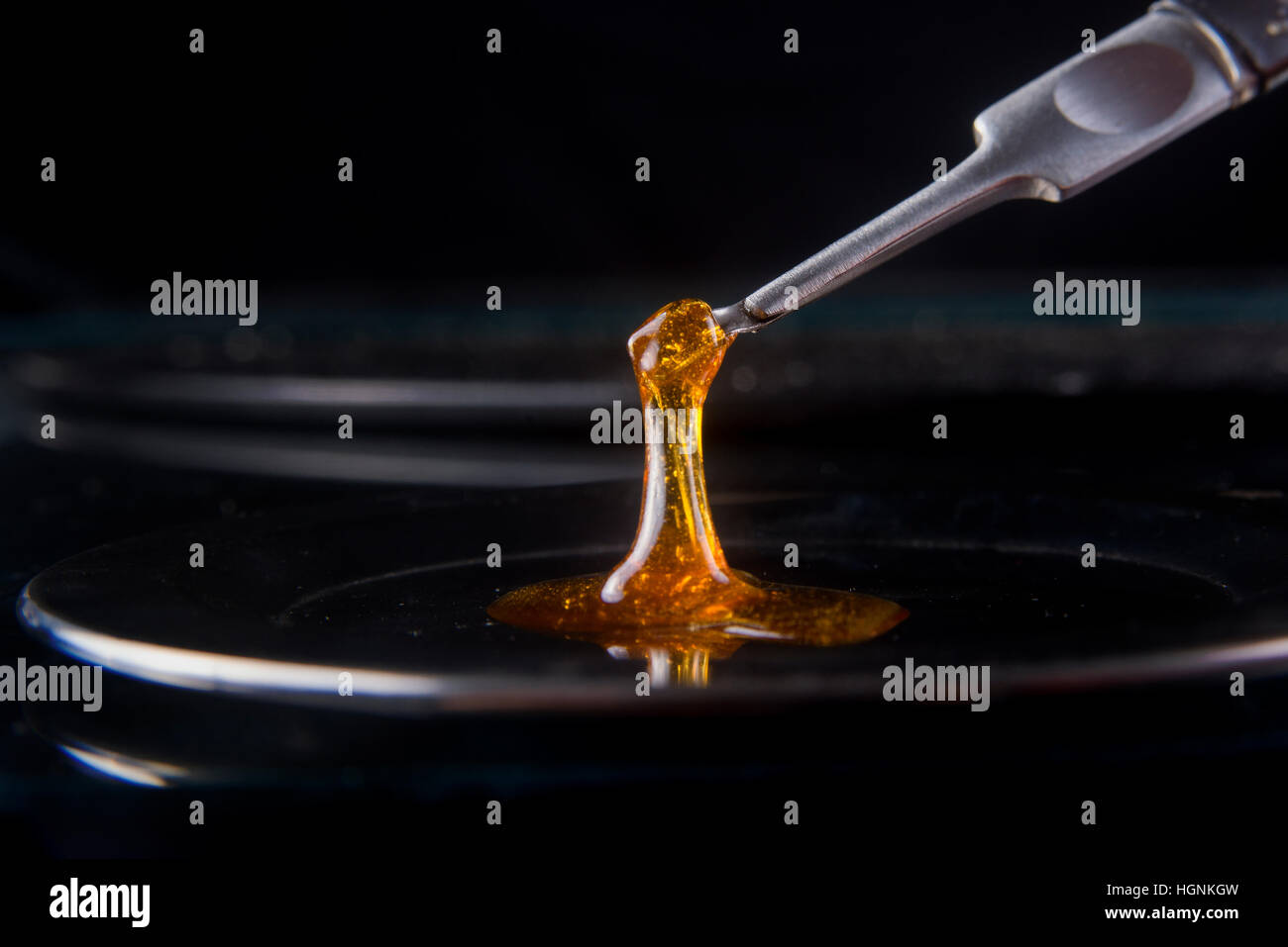 Melted cannabis oil concentrate aka shatter held on a dabbing tool over ...