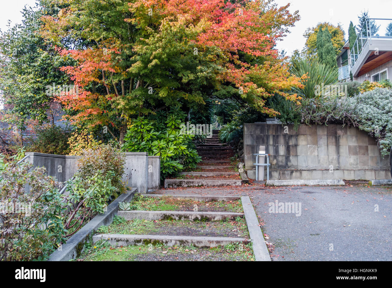 Walkway of steps hi-res stock photography and images - Alamy