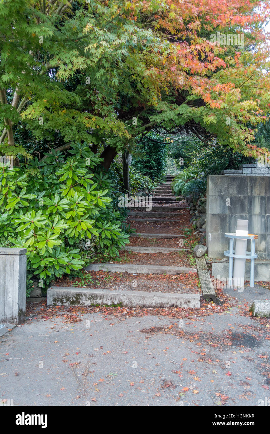 Steps in trees hi-res stock photography and images - Alamy