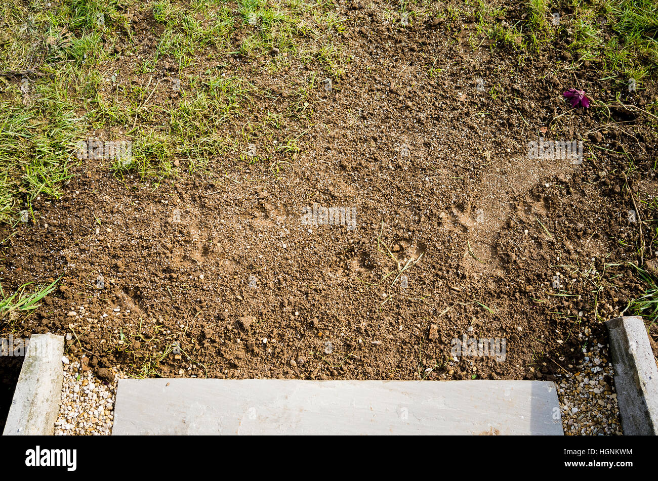 Edging garden hi-res stock photography and images - Alamy