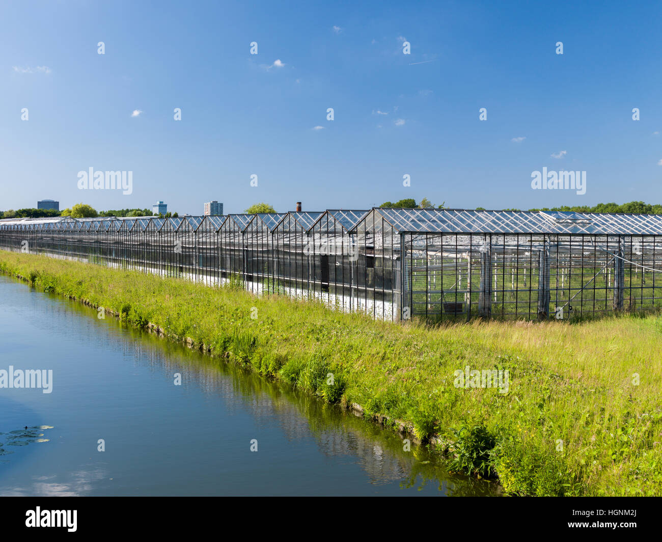 Westland house hi-res stock photography and images - Alamy
