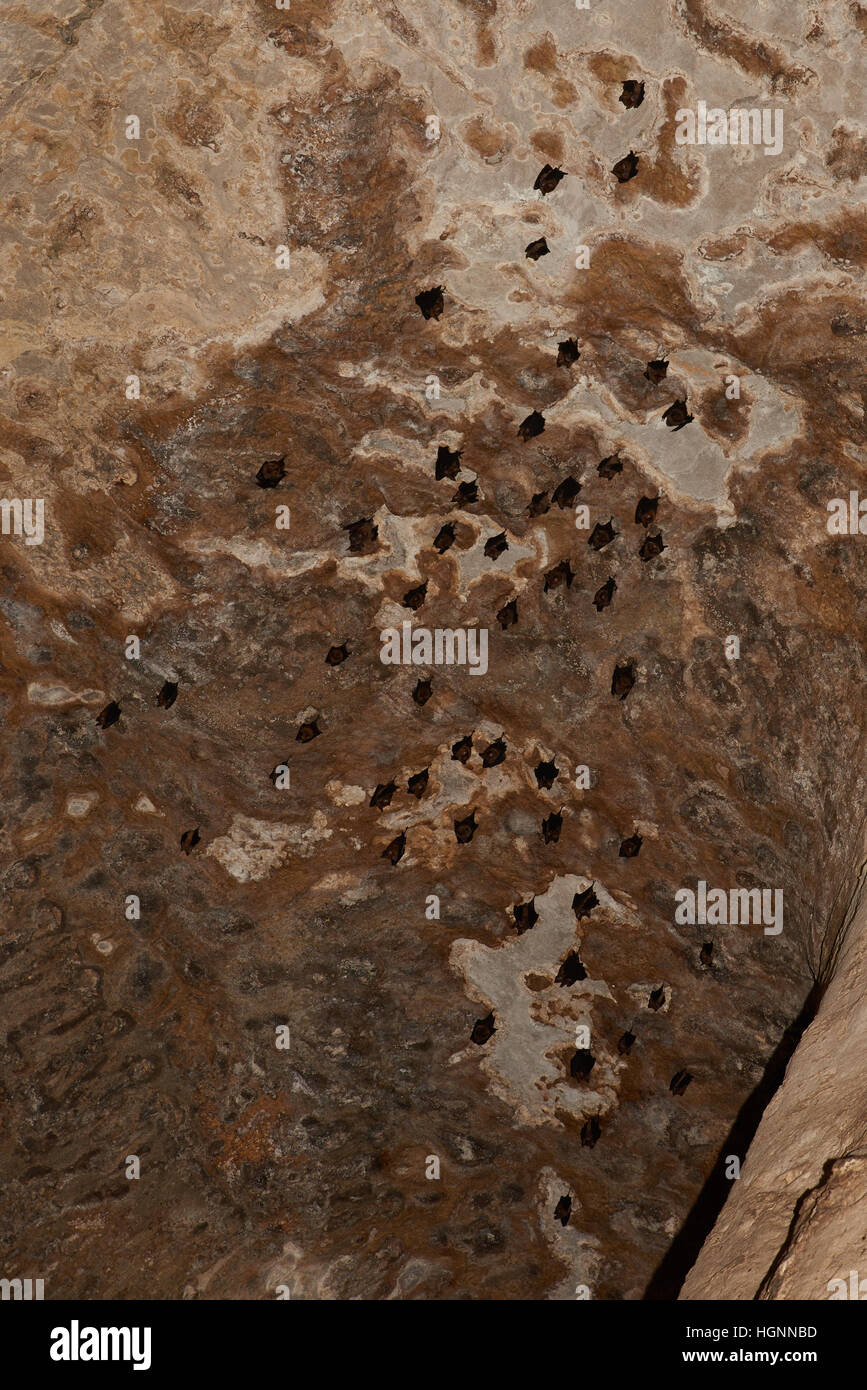 Diamond cave hi-res stock photography and images - Alamy