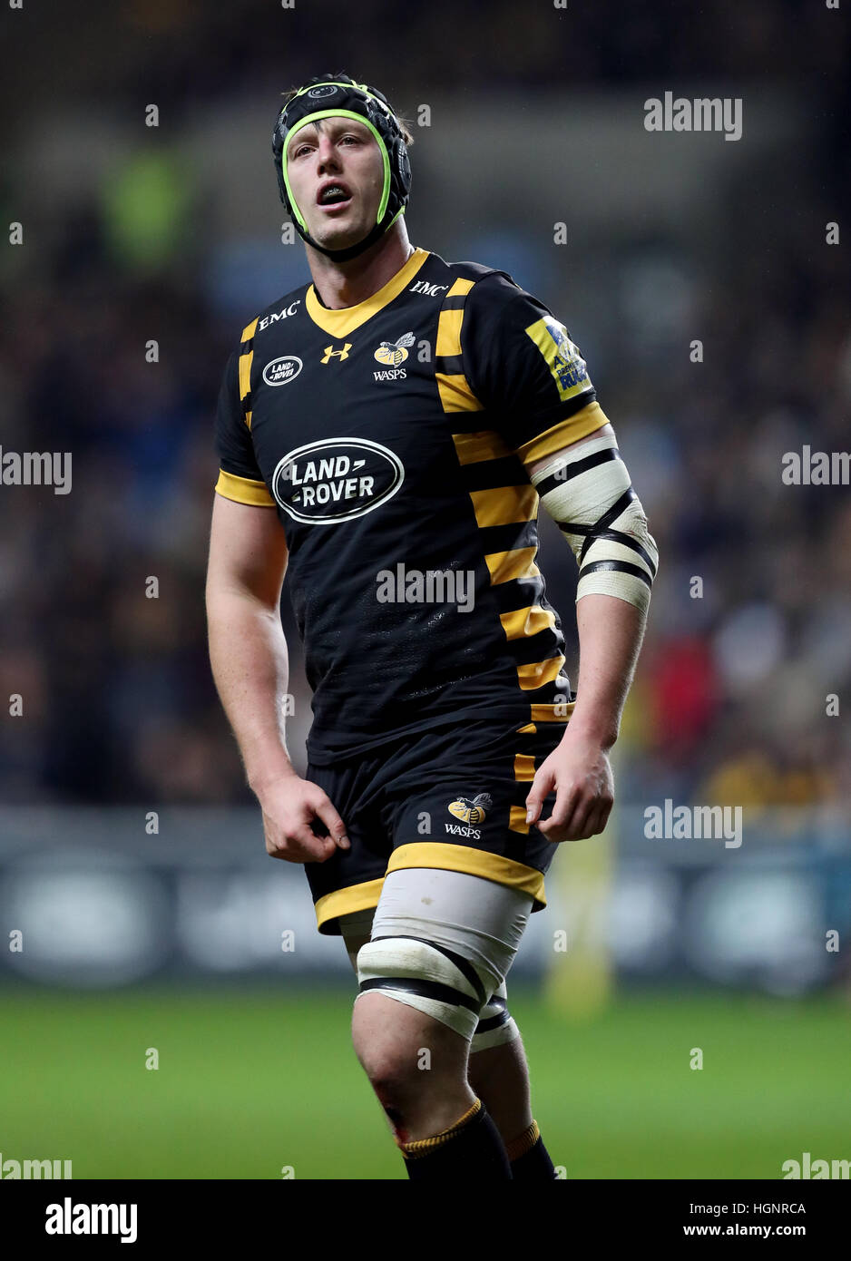 James gaskell wasps hi-res stock photography and images - Alamy